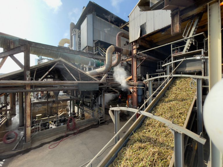 Understanding Mill Mud: Sugar Impurity to Soil Ameliorant | HCPSL